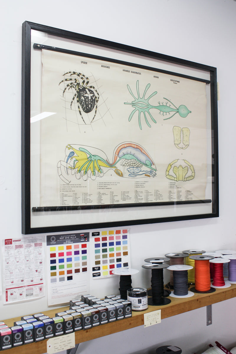 Vintage British Made Science Poster - Limited Edition #1 – Drapers Fabrics