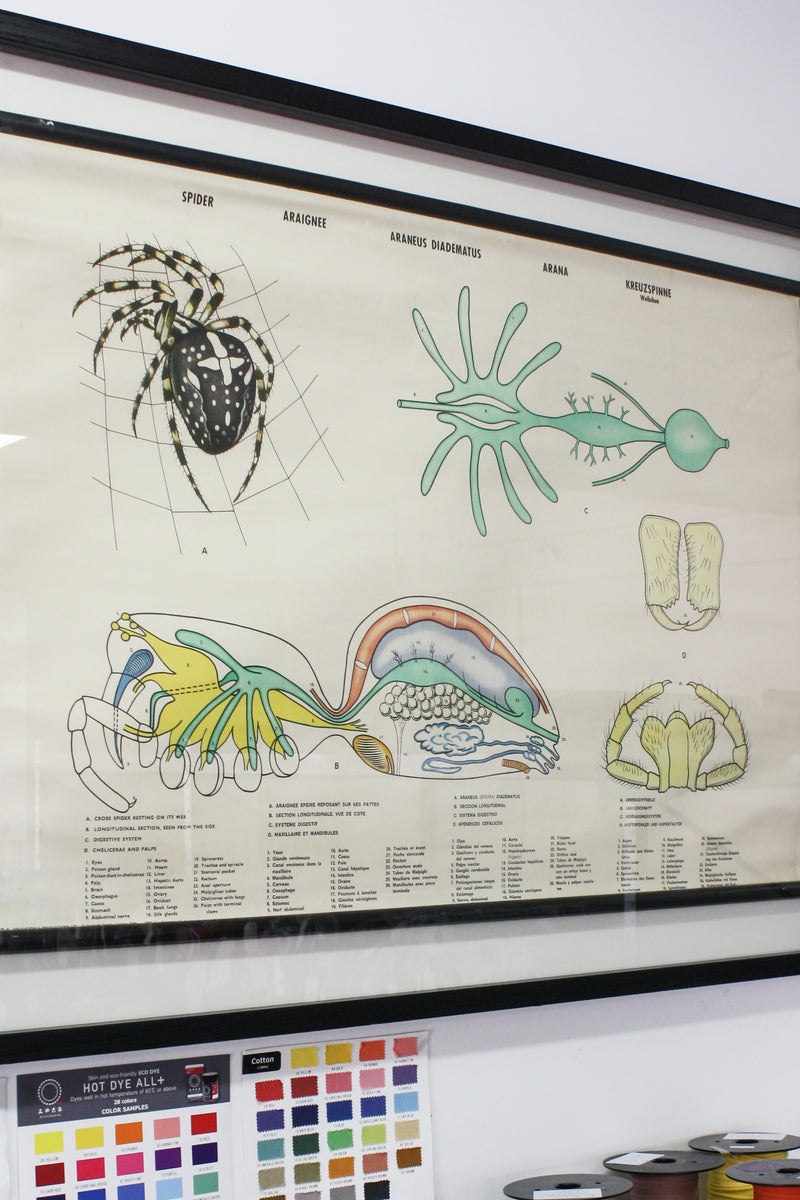 Vintage British Made Science Poster - Limited Edition #1 – Drapers Fabrics